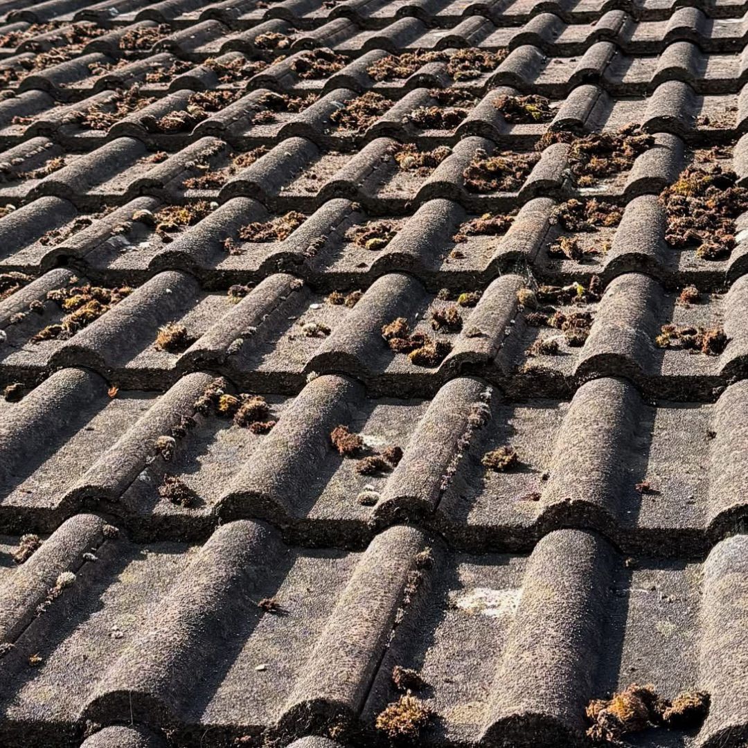 Roof Cleaning Cirencester | Roof Moss Removal Cirencester
